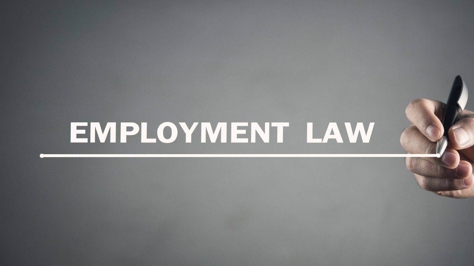 Employment Law Support | Connaught Law Specialists